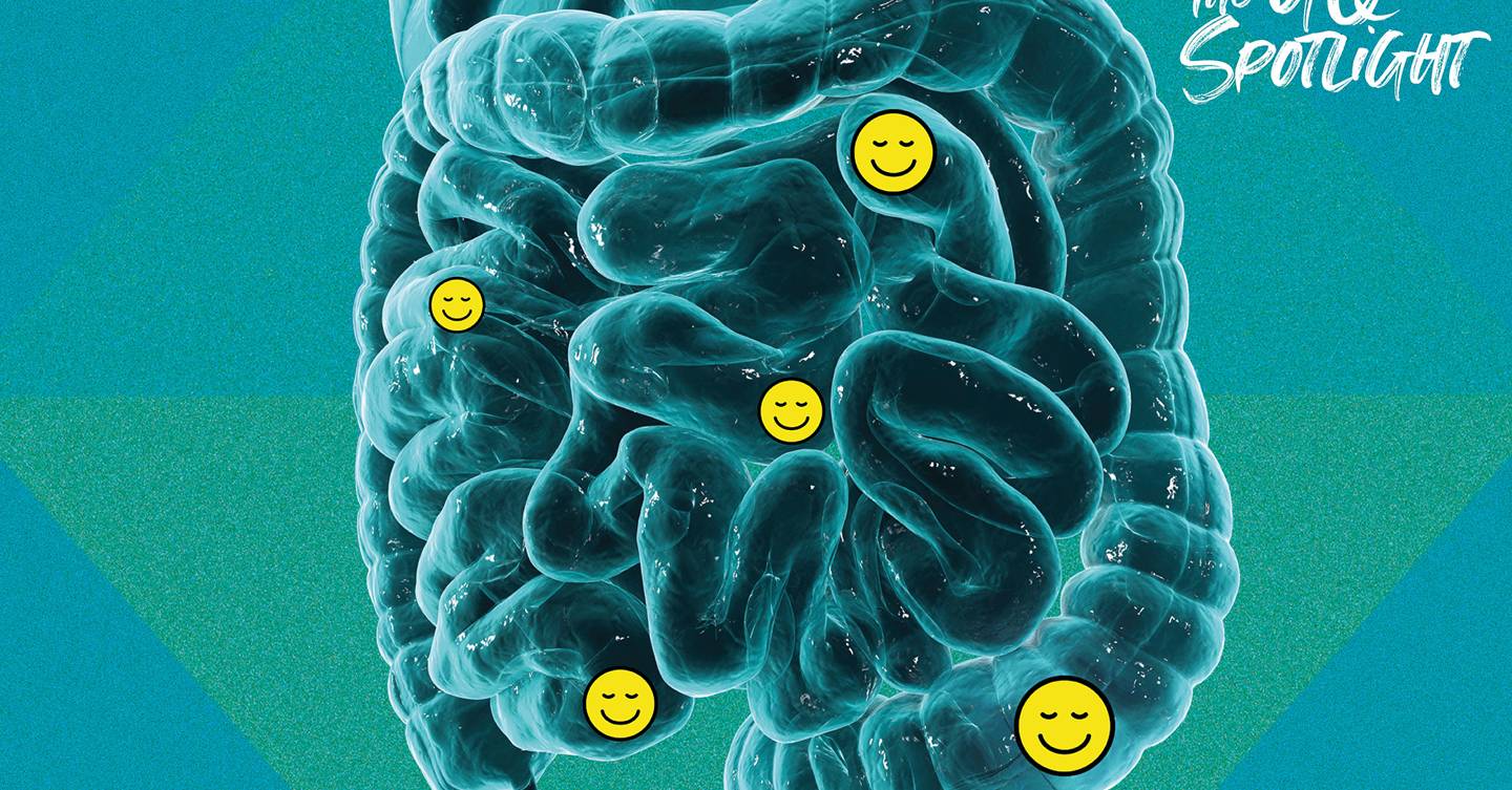 Gut health is responsible for your happiness. We investigate the major ...