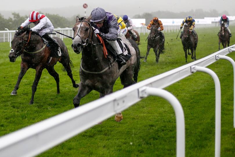 Glorious Goodwood 2017: race by race tips and betting stats from the ...