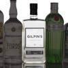 The best gin for gin and tonic | British GQ